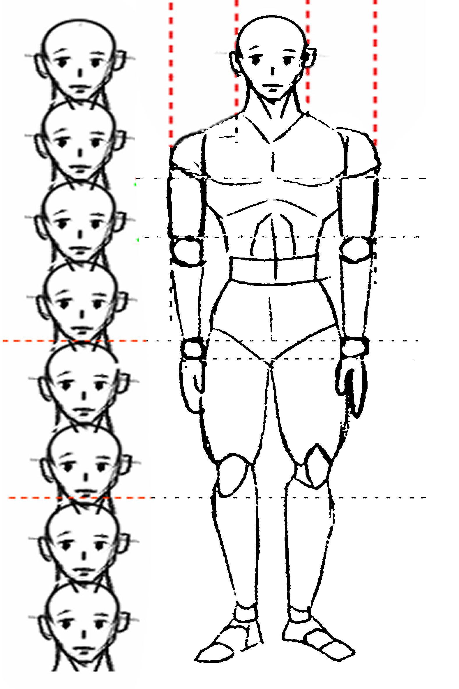 Proportion MANGA